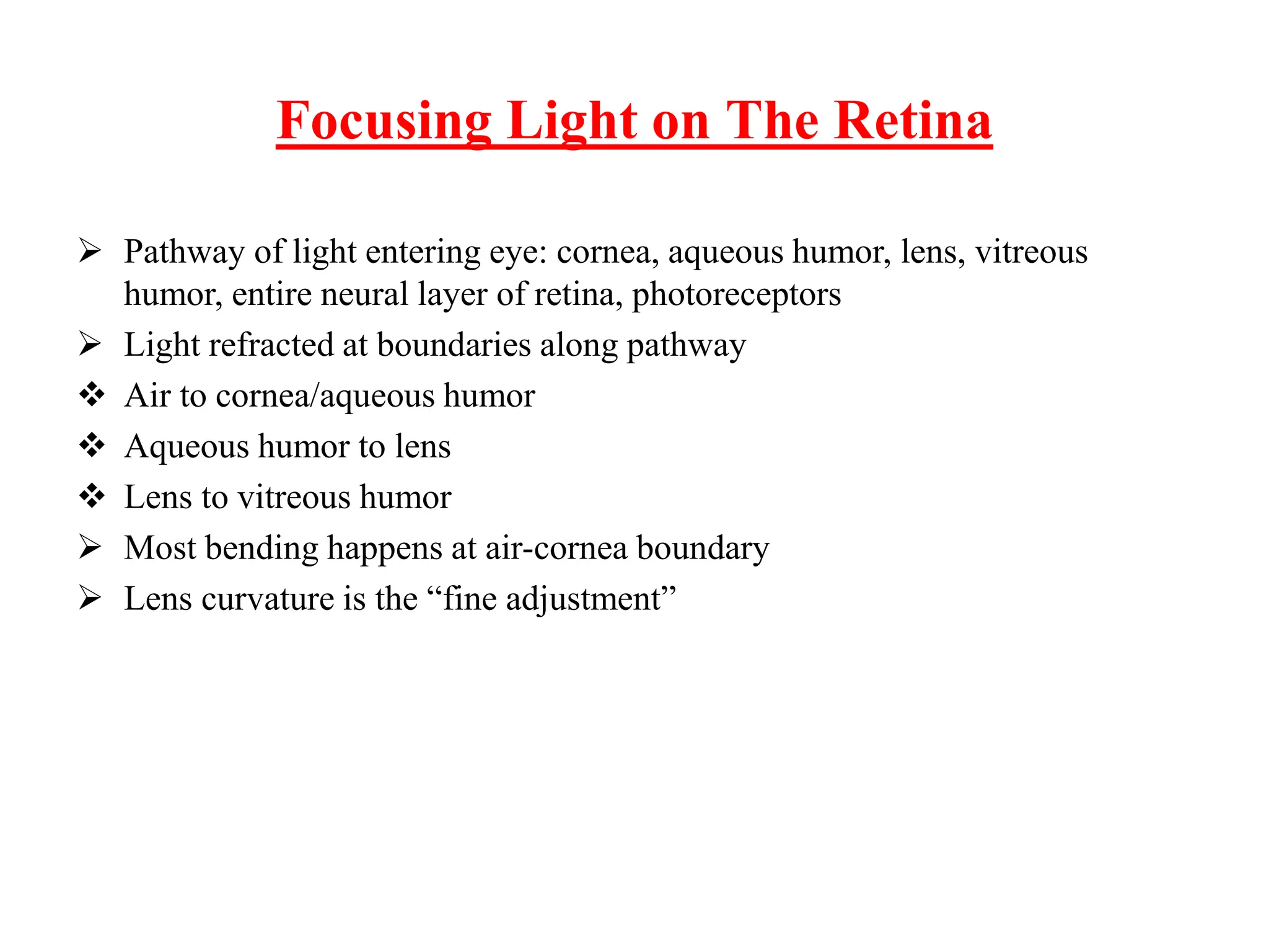 VISION IN ANIMALS VETERINARY PHYSIOLOGY.pdf