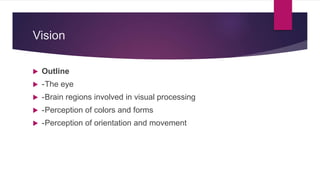 Vision as an eye structure & theories.pptx