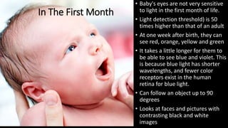 Development of Vision | PPT