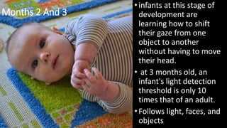 Development of Vision | PPT