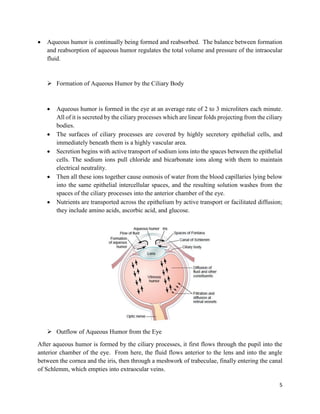 Guyton's Physiology - Vision & Eye Physiology | PDF