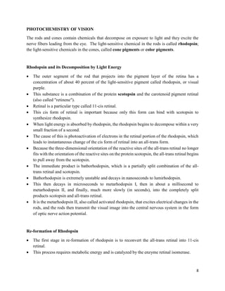 Guyton's Physiology - Vision & Eye Physiology | PDF