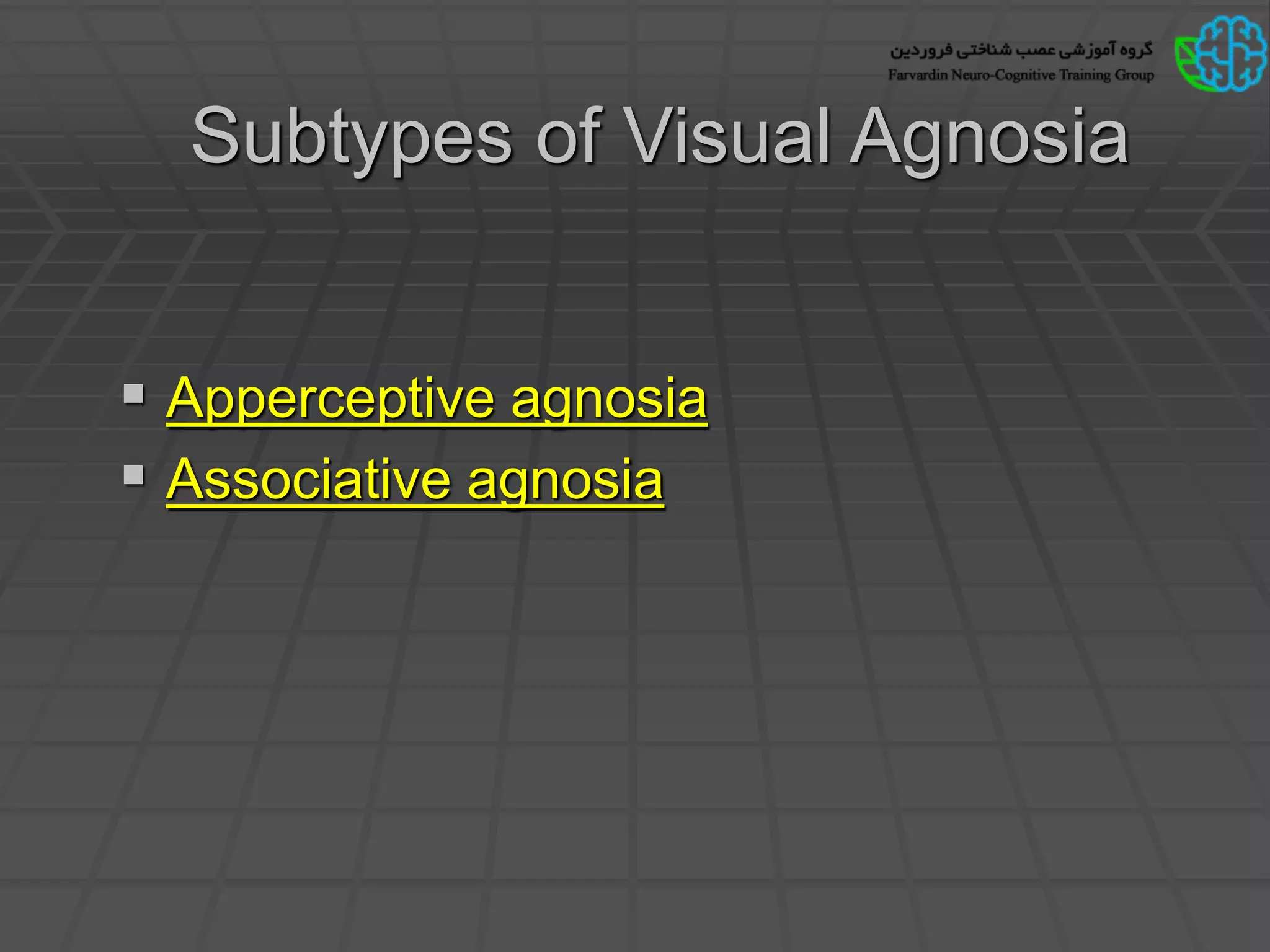 Vision and agnosias | PPT