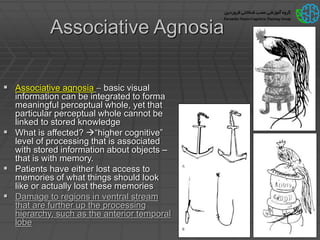 Associative Agnosia