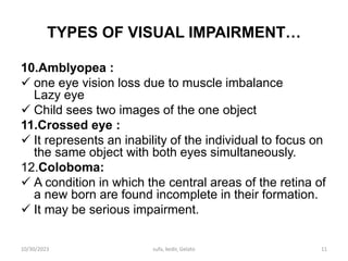 vision and hearing seminar.pptx