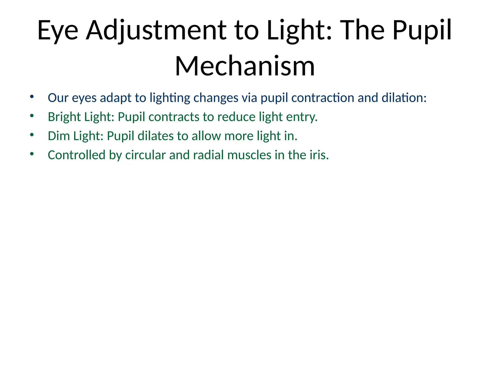 Vision_and_Light_Presentation.pptx part 2 | PPTX