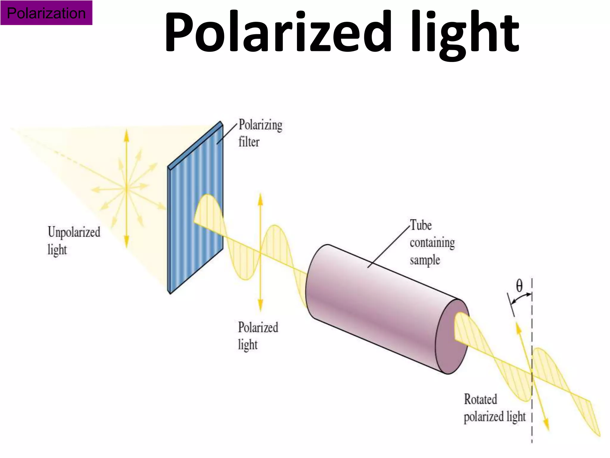 vision and polarization.pptx