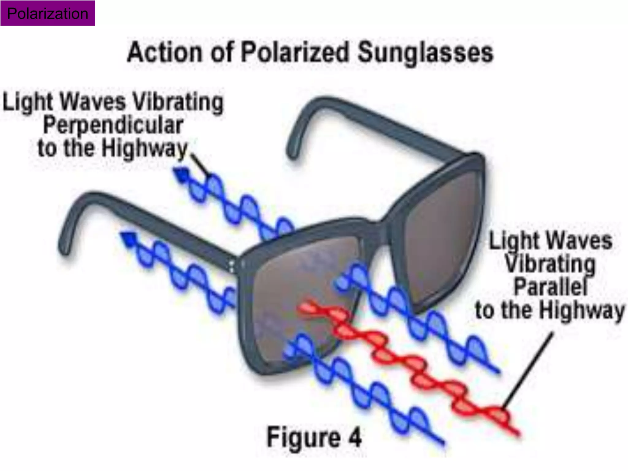 vision and polarization.pptx