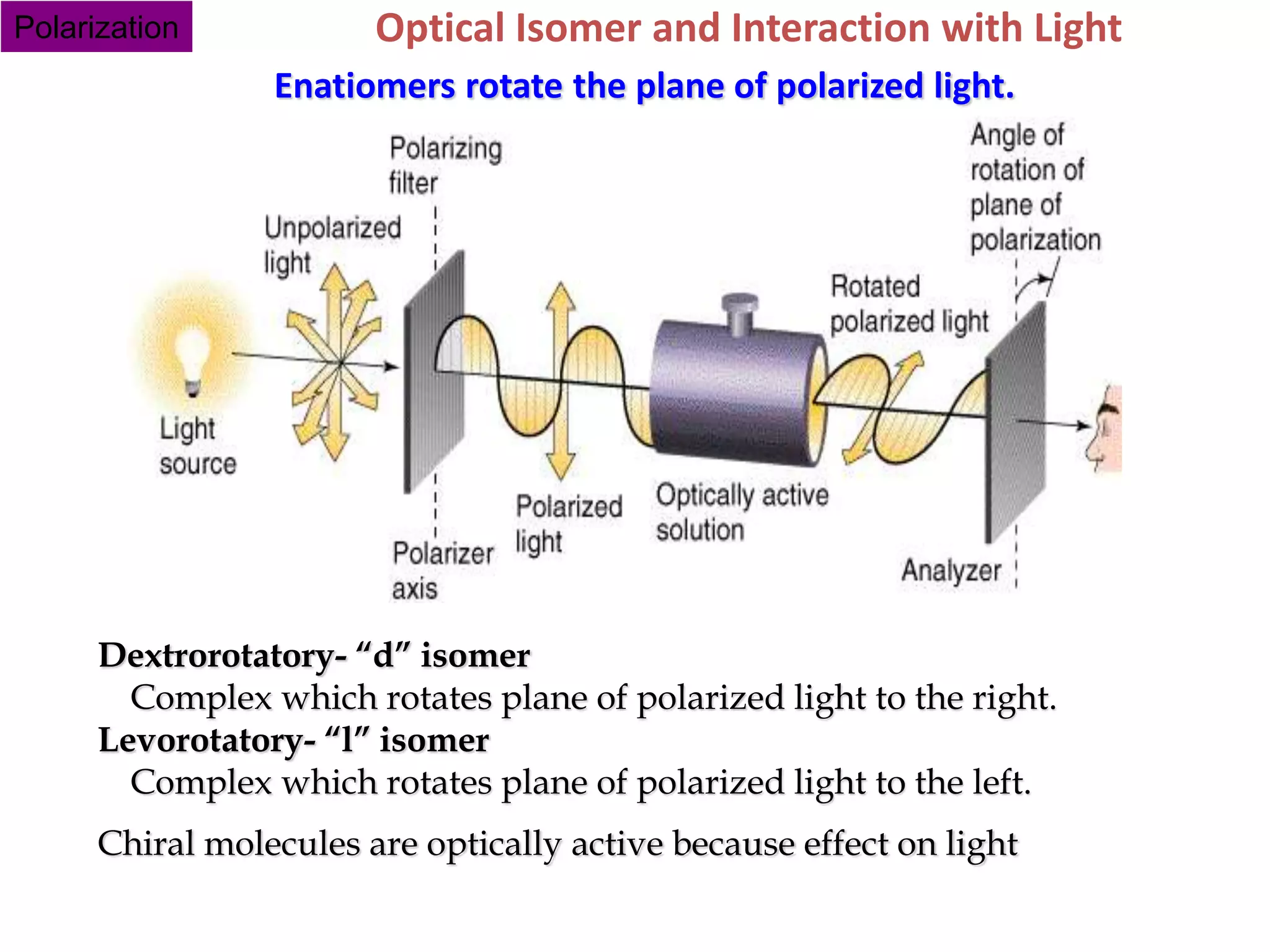 vision and polarization.pptx