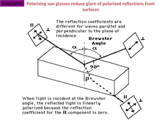 vision and polarization.pptx
