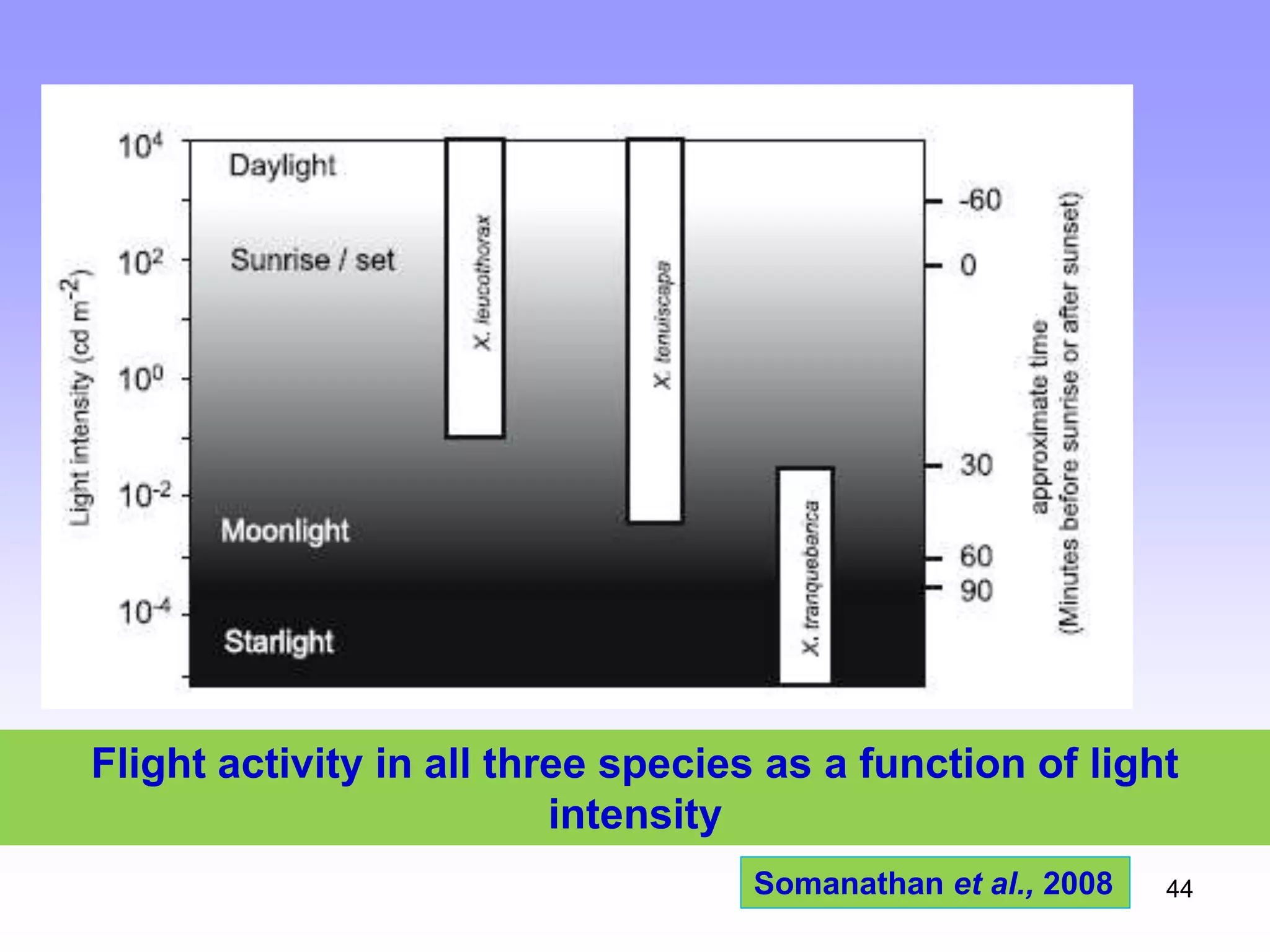 Vision and visual navigation in nocturnal insects | PPTX | Geography ...