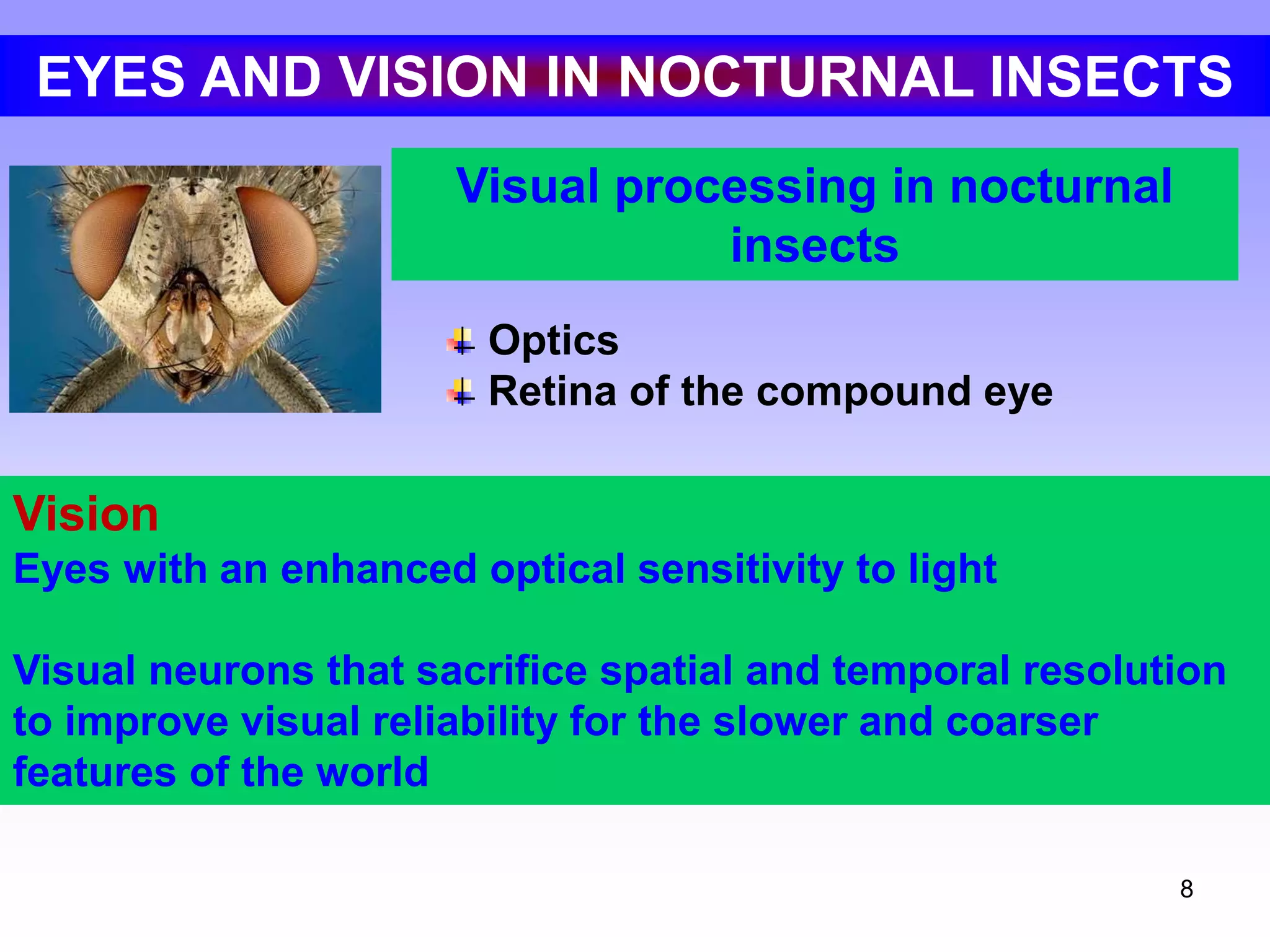 Vision and visual navigation in nocturnal insects | PPTX