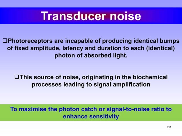 Vision and visual navigation in nocturnal insects | PPTX | Geography ...