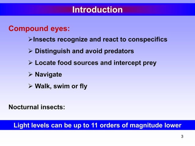 Vision and visual navigation in nocturnal insects | PPTX | Geography ...