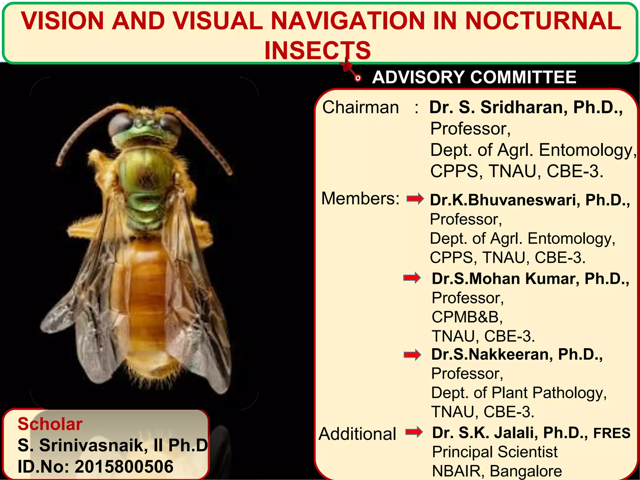 Vision and visual navigation in nocturnal insects-SSNAIK TNAU | PPT