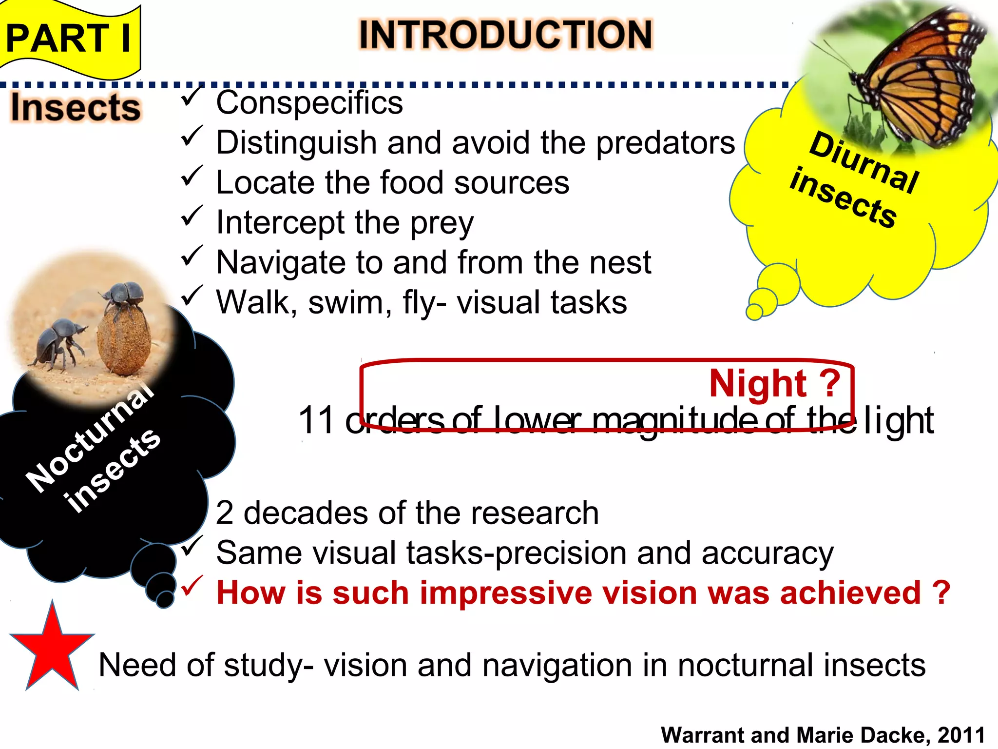 Vision and visual navigation in nocturnal insects-SSNAIK TNAU | PPT