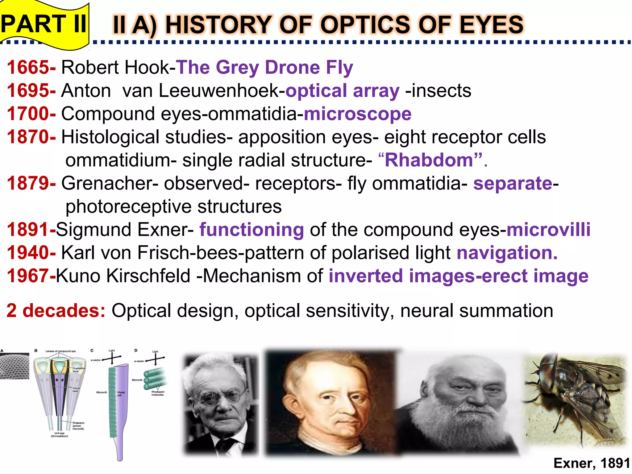 Vision and visual navigation in nocturnal insects-SSNAIK TNAU | PPT