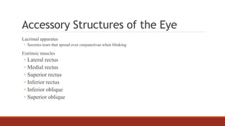 Vision assessment.pptx ophthalmology BSc nursing ppt | PPTX