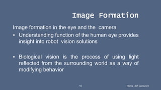 Vision Basics | PDF