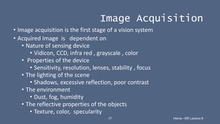 Vision Basics | PPT