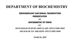 Vision biochemistry And mechanisms behind | PPTX