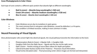 Vision biochemistry And mechanisms behind | PPTX