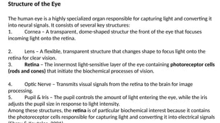 Vision biochemistry And mechanisms behind | PPTX