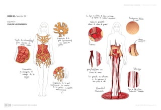 E2: VISIONES Postura + Propuesta | PPT