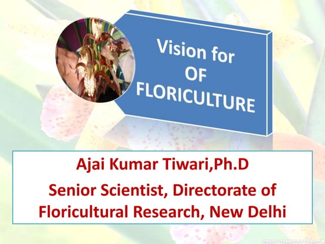 Vision_for_floriculture POWERPOINT PRESENTATION | PPT