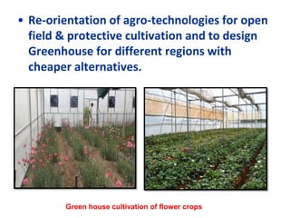 Vision_for_floriculture POWERPOINT PRESENTATION | PPTX