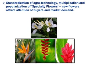 Vision_for_floriculture POWERPOINT PRESENTATION | PPTX