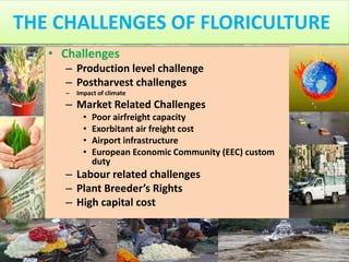 Vision_for_floriculture POWERPOINT PRESENTATION | PPTX