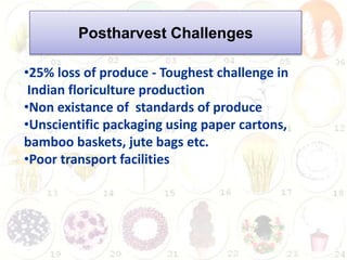 Vision_for_floriculture POWERPOINT PRESENTATION | PPTX