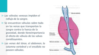 FISIOLOGIA DEL SISTEMA CIRCULATORIO VISIÓN GENERAL DE LA CIRCULACIÓN | PPTX