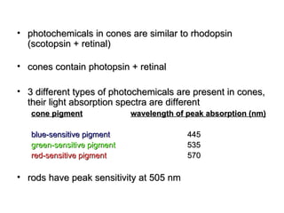 PHYSIOLOGY OF VISION,Part -II | PPT