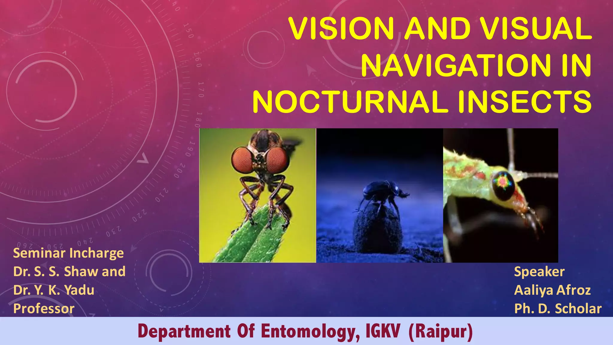 Vision and visual navigation in nocturnal insects | PDF