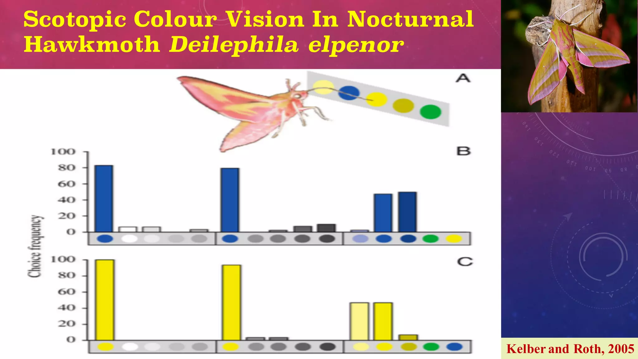 Vision and visual navigation in nocturnal insects | PDF