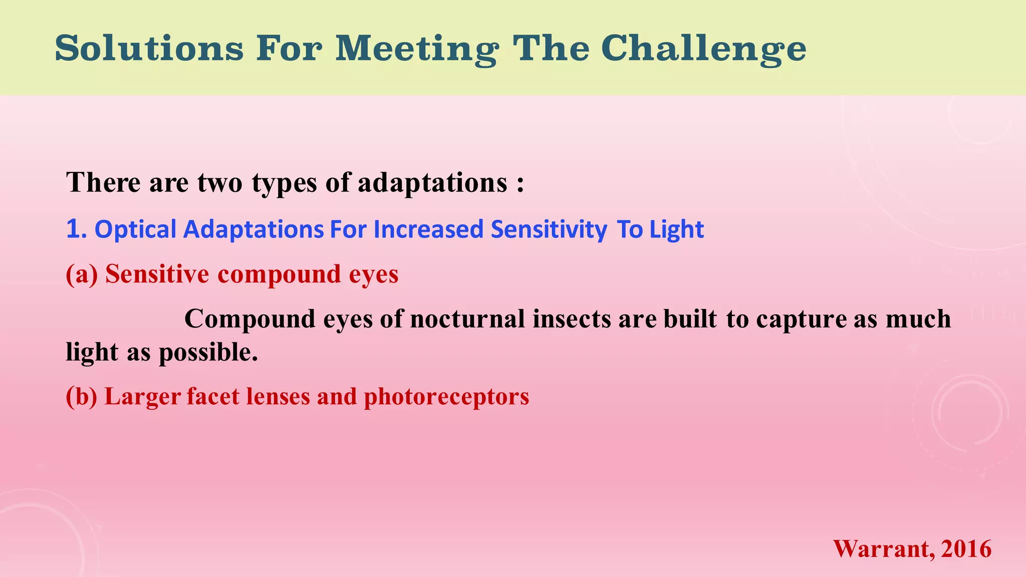 Vision and visual navigation in nocturnal insects | PDF