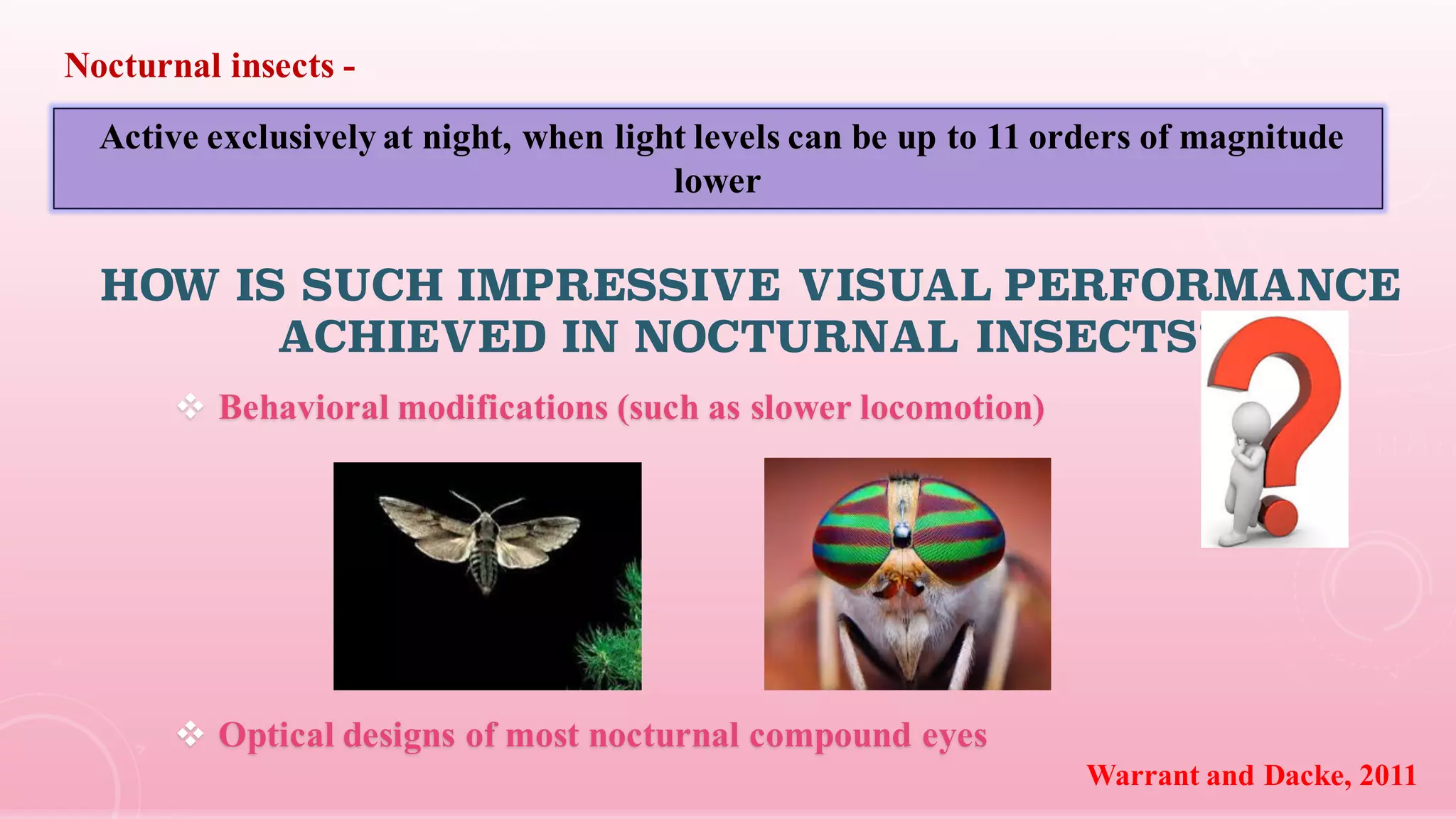 Vision and visual navigation in nocturnal insects | PDF