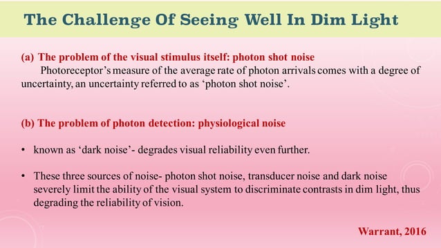 Vision and visual navigation in nocturnal insects | PDF | Eye and ...