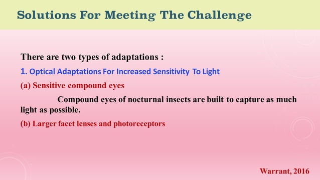 Vision and visual navigation in nocturnal insects | PDF | Eye and ...