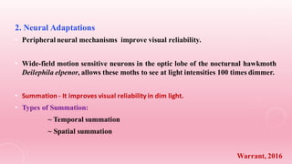 Vision and visual navigation in nocturnal insects | PDF