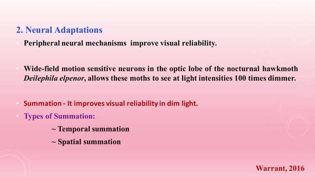 Vision and visual navigation in nocturnal insects | PDF | Eye and ...