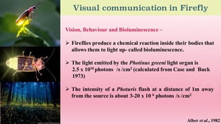 Vision and visual navigation in nocturnal insects | PDF