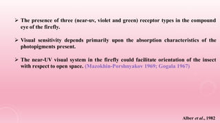 Vision and visual navigation in nocturnal insects | PDF