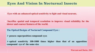 Vision and visual navigation in nocturnal insects | PDF