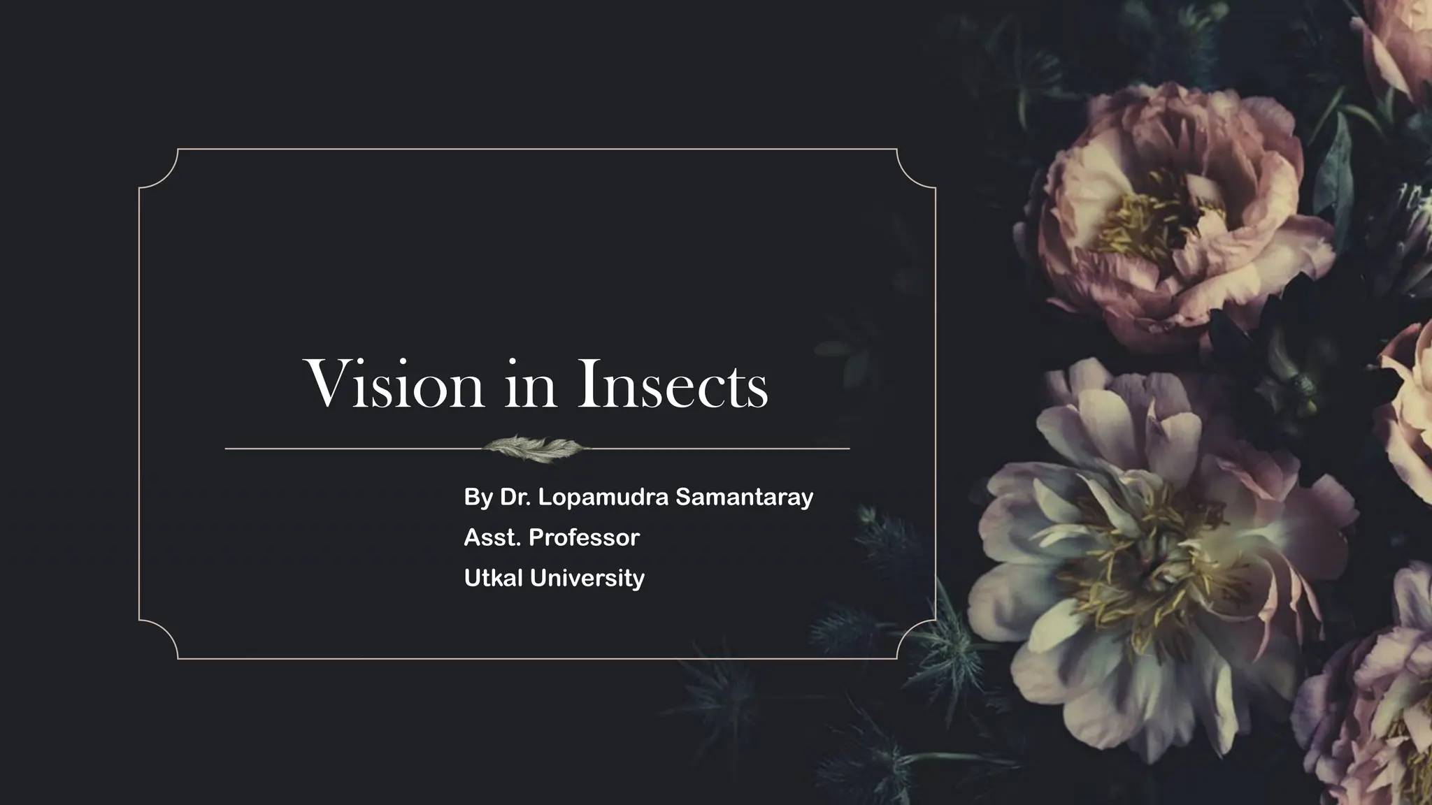 Vision in Insects (simple eye, compound eye).pptx