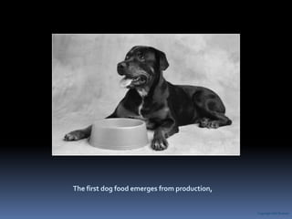 Vision Is The Art Of Seeing The Invisible | PPT