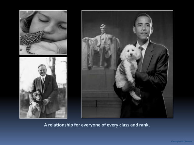 Vision Is The Art Of Seeing The Invisible | PPTX