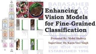 Enhancing Vision Models for Fine-Grained Classification | PPTX | Artificial Intelligence ...